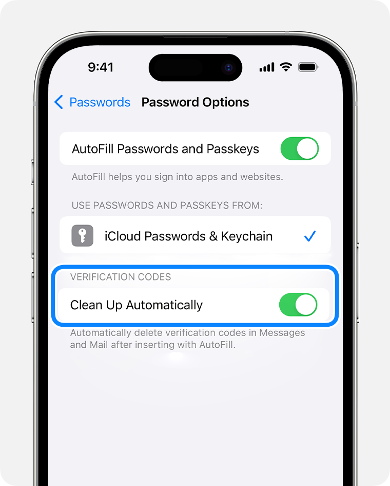 Hidden Feature Set Messages To Automatically Delete Verification Codes 4607